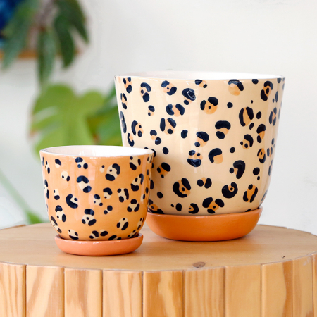 Dodo Toucan | Big pot "Leopard" + matching plate